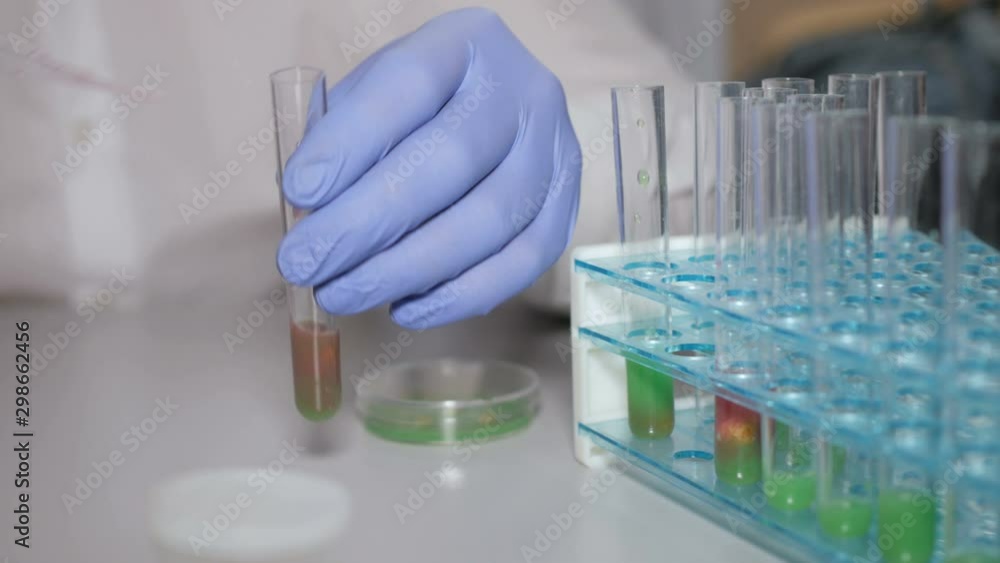 Vidéo Stock Research of GMO peanut in the laboratory. Doctor is ...