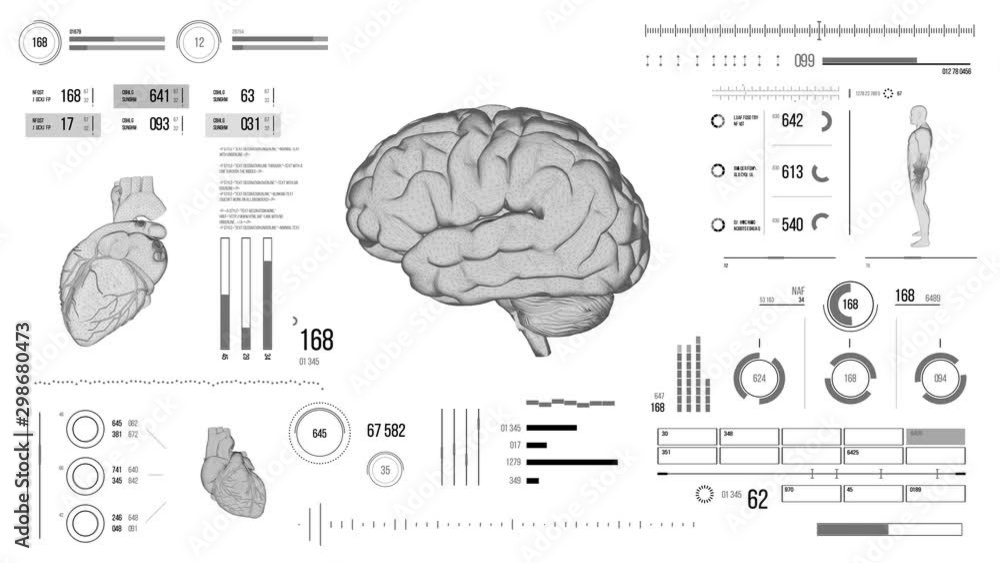 Vidéo Stock Human brain scan. Futuristic medical user interface with ...