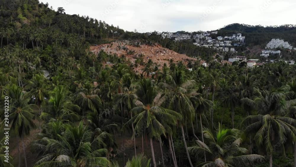 Tropical terrain covered with endangered forests and luxury villas ...