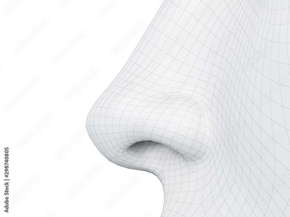 Nose Wireframe