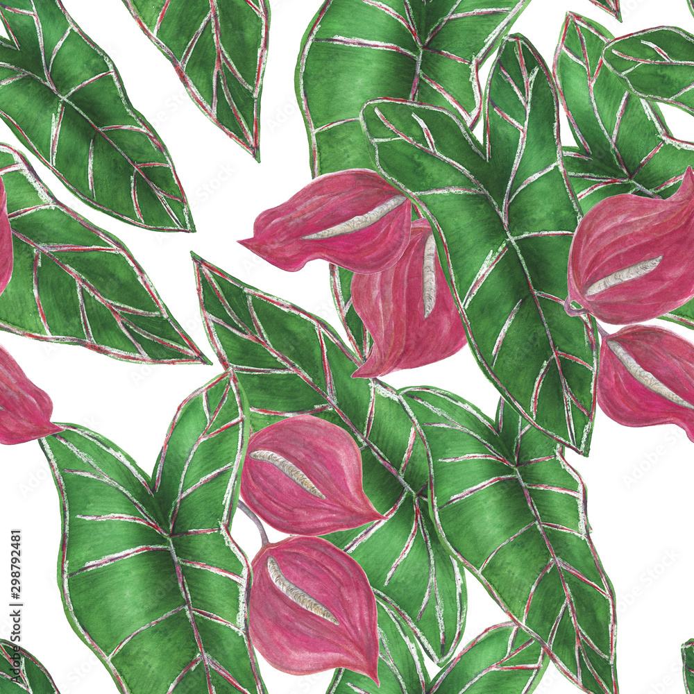 Watercolor painting seamless pattern with anthurium flowers and ...