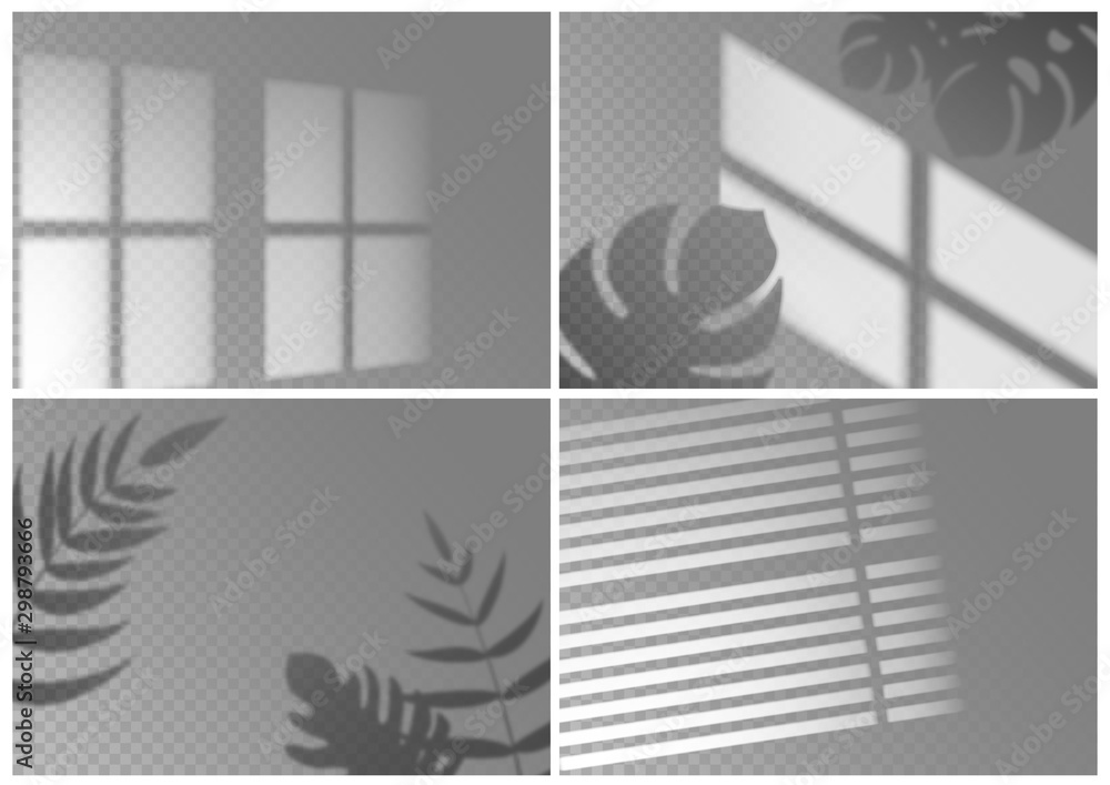 Realistic shadow overlay. Window light with shadow texture of tropical ...