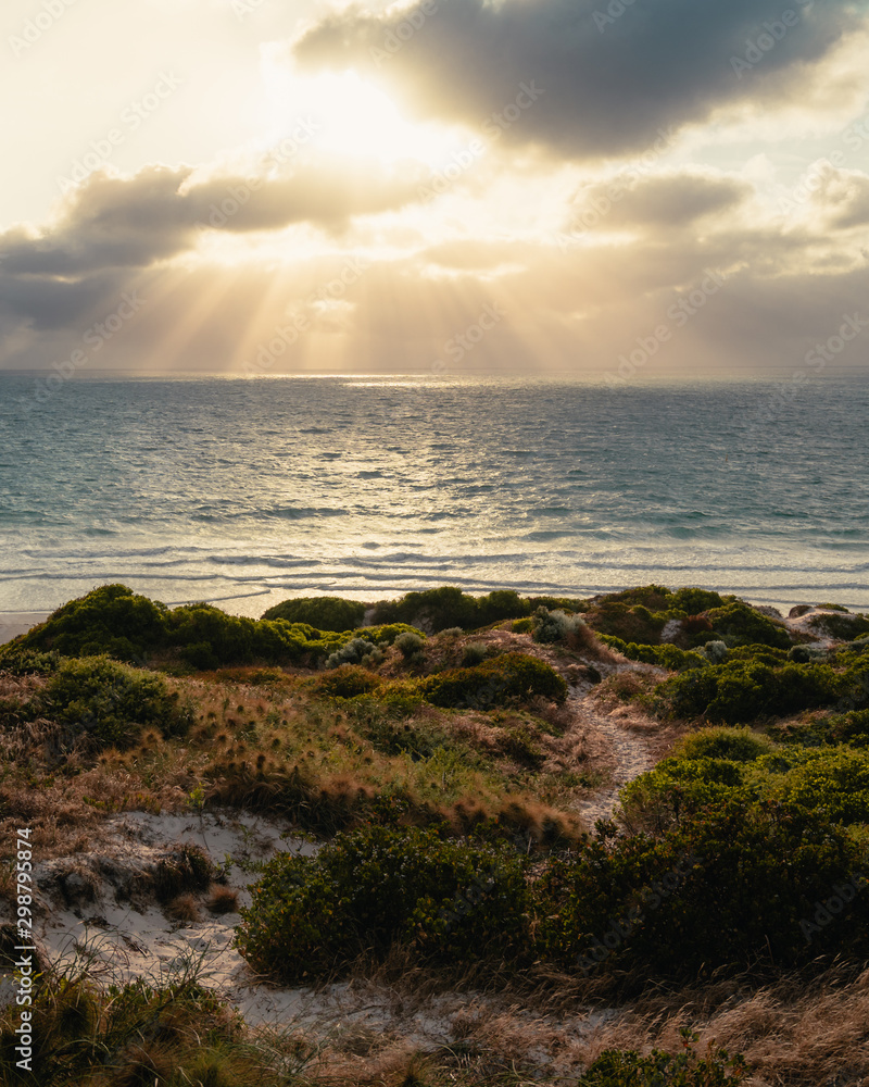 Single sand pathway towards the ocean through the sand dunes and ...
