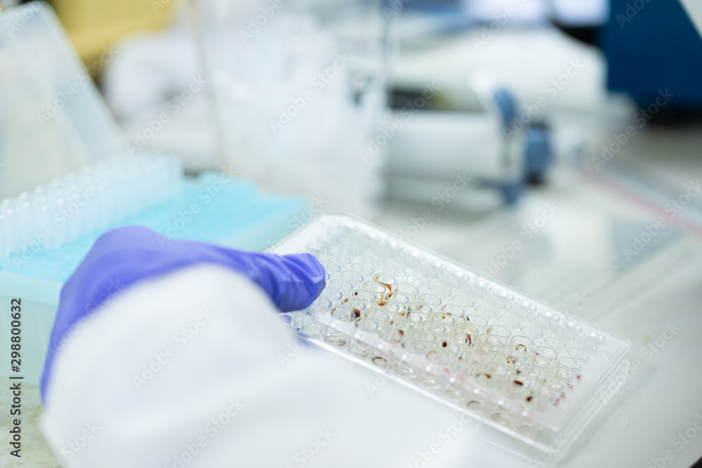 Study of fish blood composition with 96 wells microplate for laboratory ...