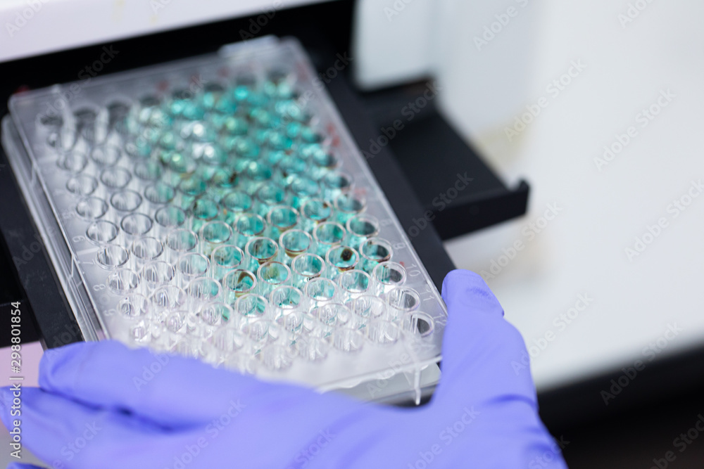 Study of fish blood composition with 96 wells microplate for laboratory ...