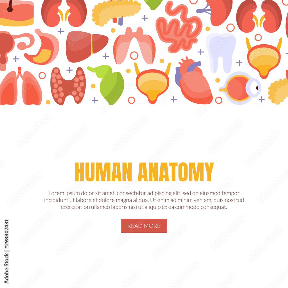 Human Anatomy Landing Page Template with Internal Organs, Healthcare ...