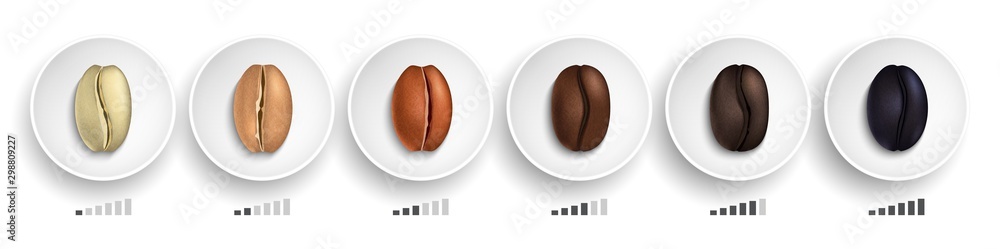 Coffee roasting guide. Realistic coffee beans in various roasting ...