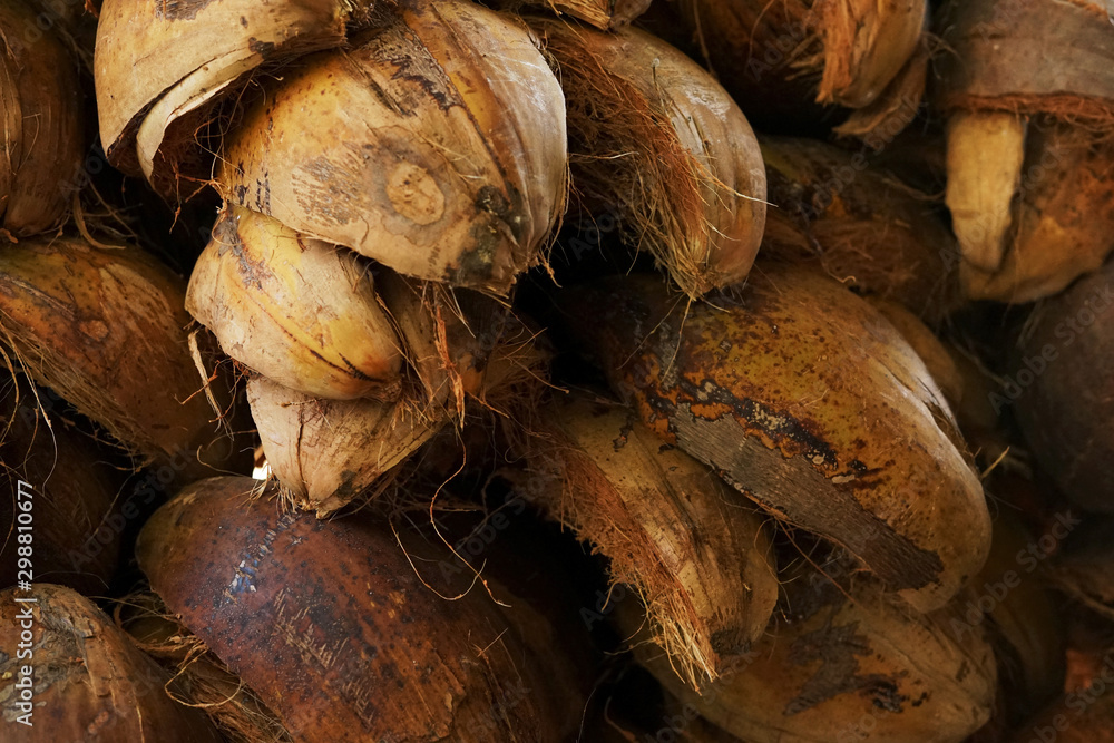 heaps of coconut coir husk pattern background Stock Photo | Adobe Stock