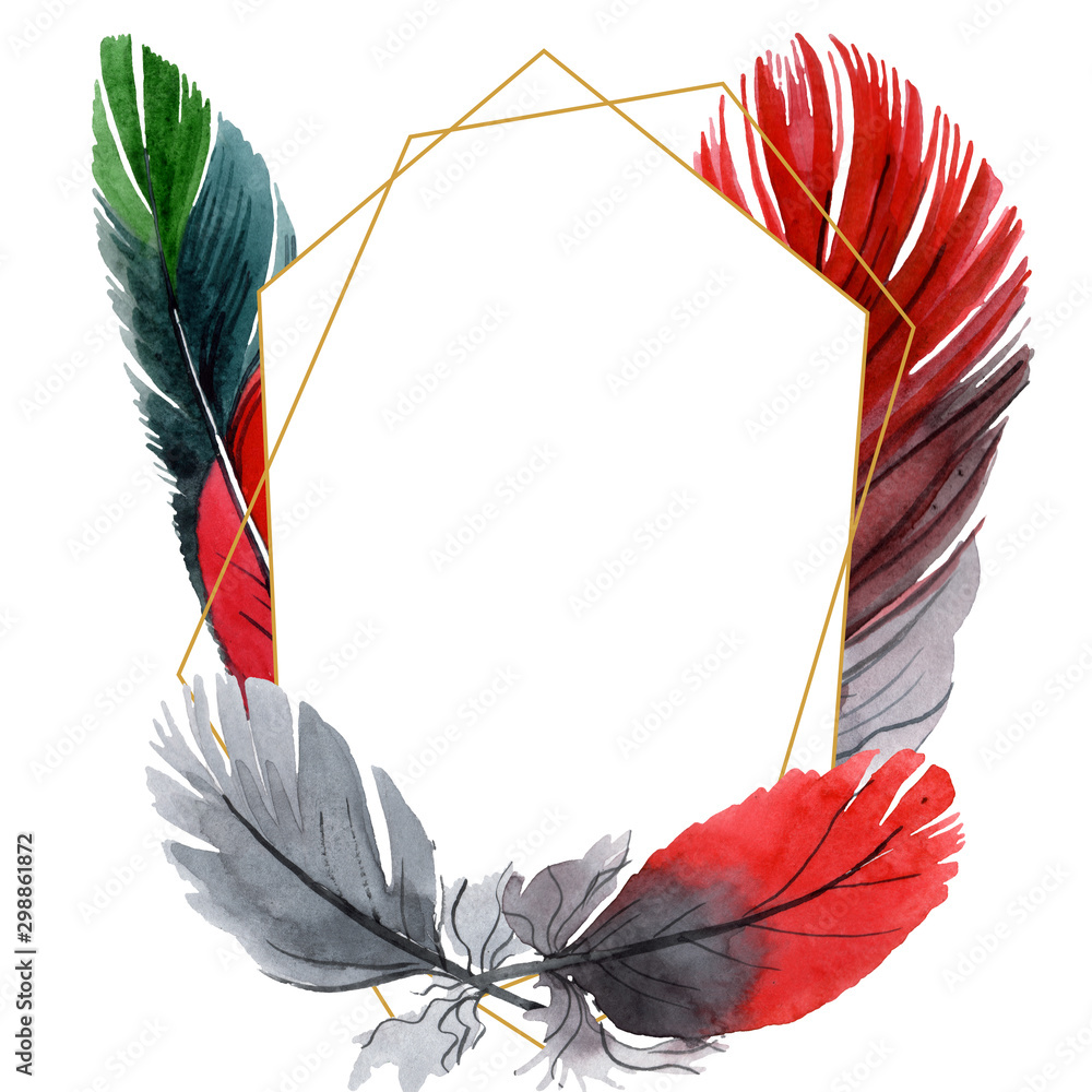 Colorful bird feather from wing isolated. Watercolor background ...