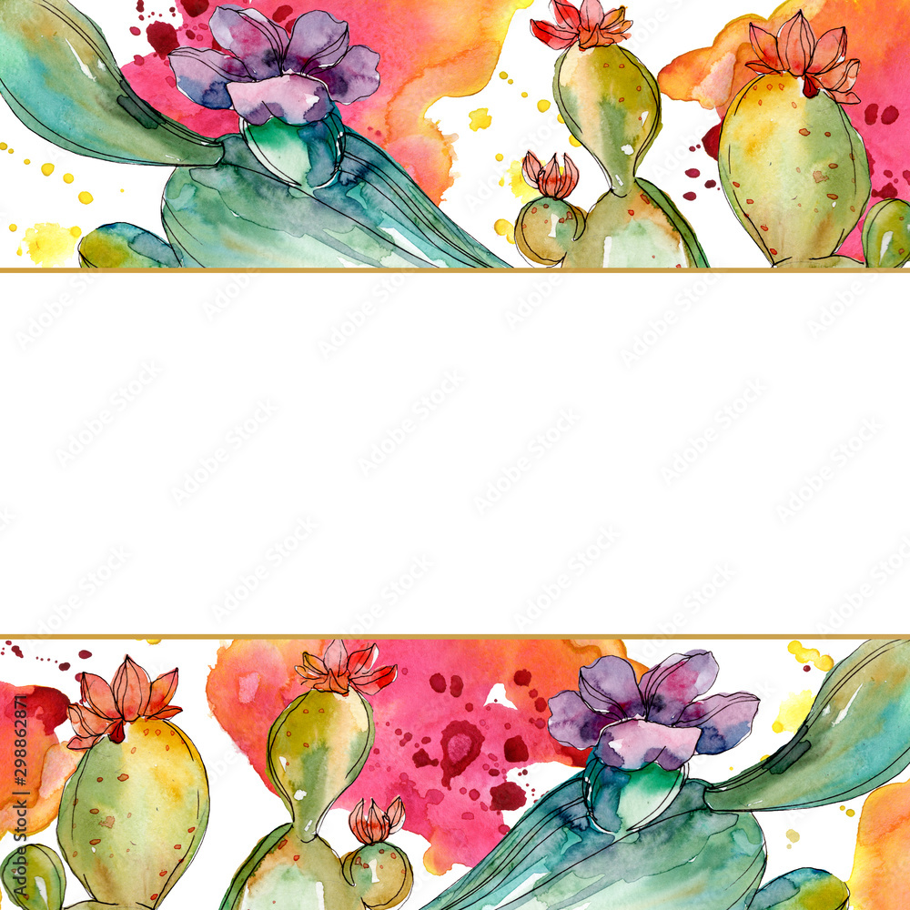 Green cactus floral botanical flowers. Watercolor background ...