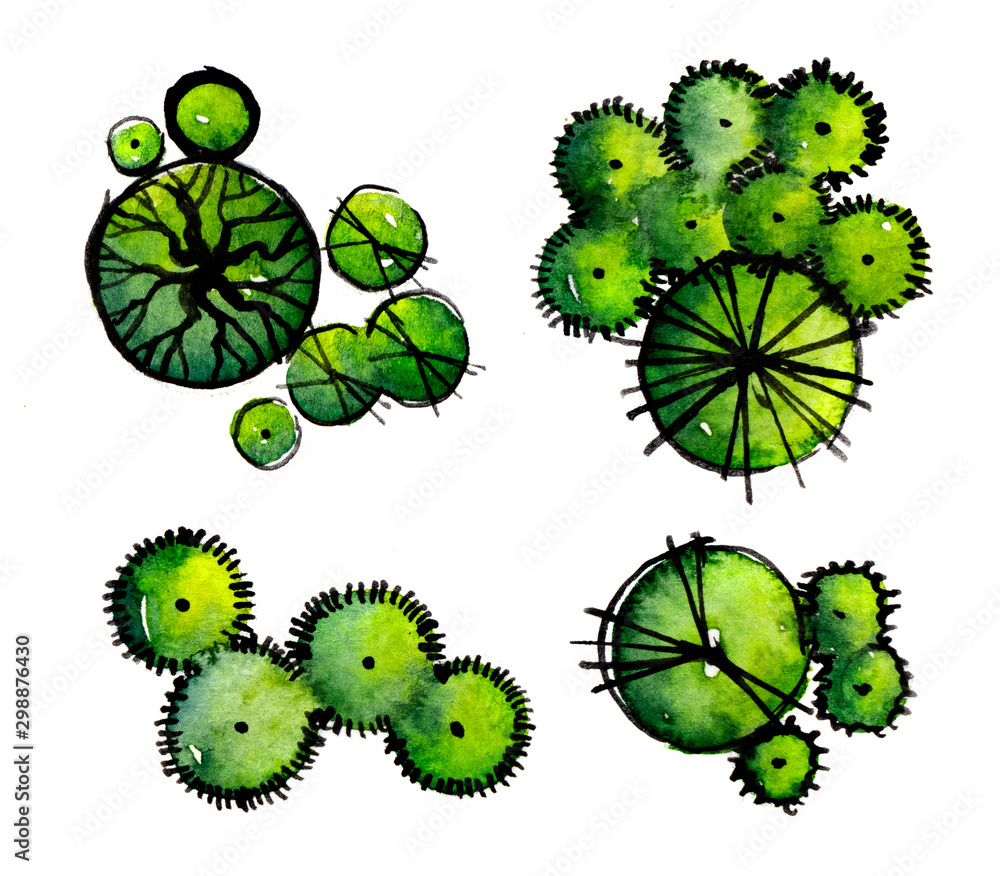 Collection plant shrub symbols of Landscape architect for decorate ...