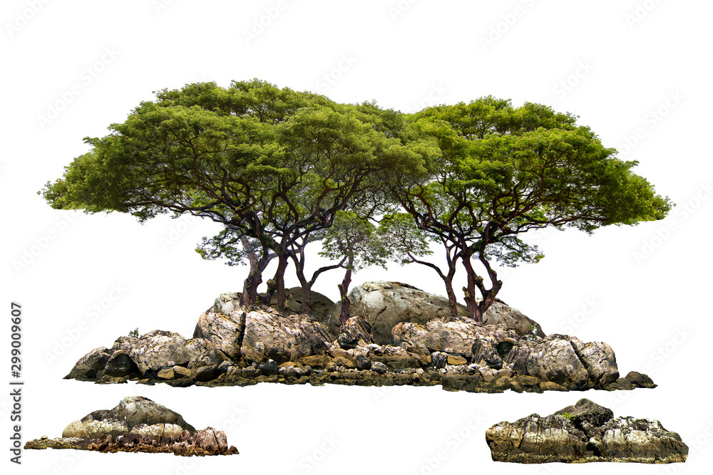 The trees. Mountain on the island and rocks.Isolated on White ...