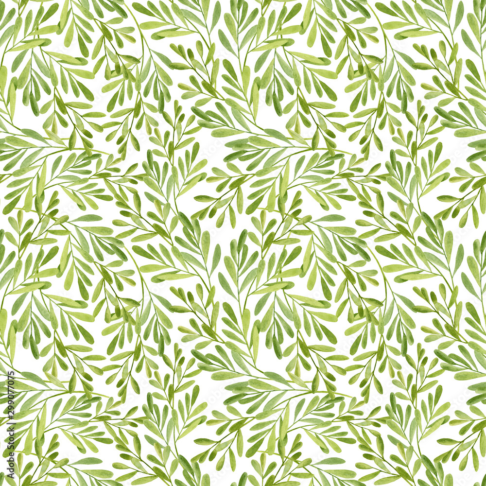 Watercolor tea tree leaves seamless pattern. Hand drawn illustration of ...
