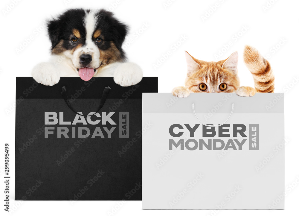 puppy dog and cat pets together showing black and silver shopping bags ...
