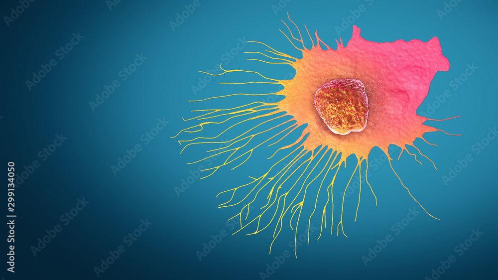 Scientific illustration of a migrating breast cancer cell - 3d ...