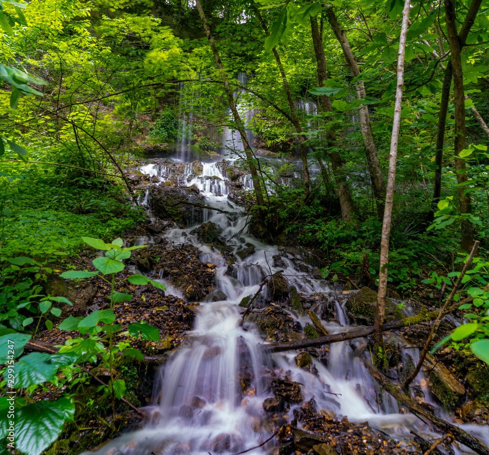 waterfall in forest Stock Photo | Adobe Stock