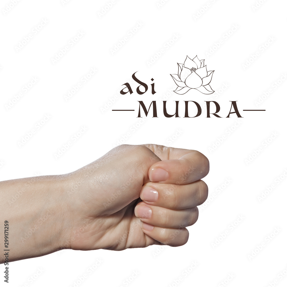 Adi mudra. Yogic hand gesture on white isolated background. Stock Photo | Adobe Stock