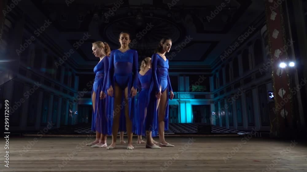 Group young skillful ballerinas dancing modern ballet on the stage of ...
