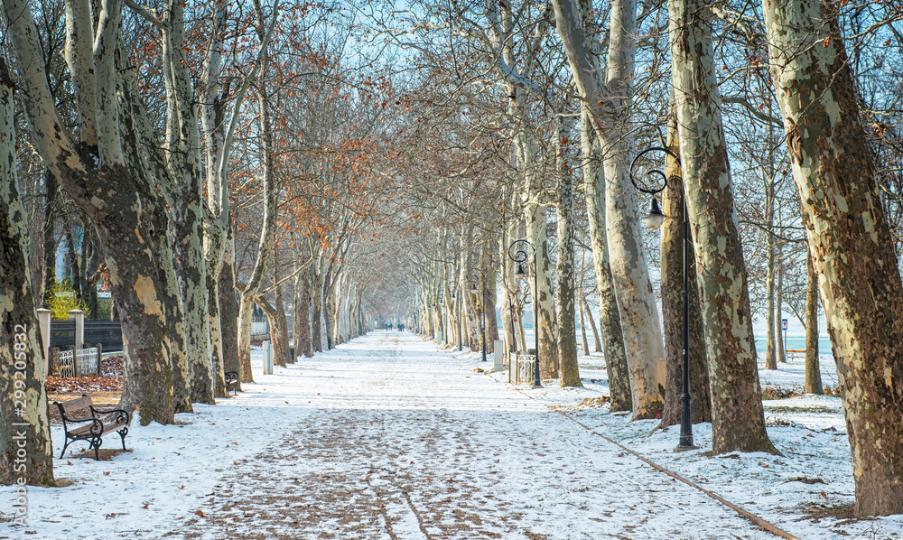 Pathway at lake Balaton in winter Stock Photo | Adobe Stock