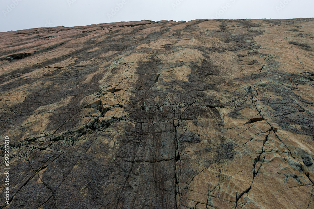 A slab of rock at the edge of the Atlantic Ocean covered in fossils ...