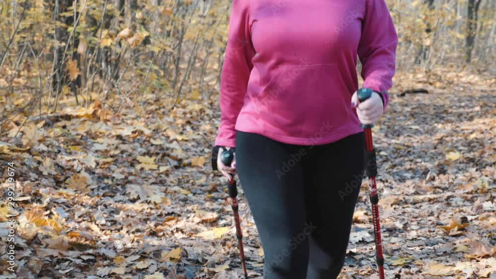 Nordic walking. Recreational activity with nordic walking poles by ...