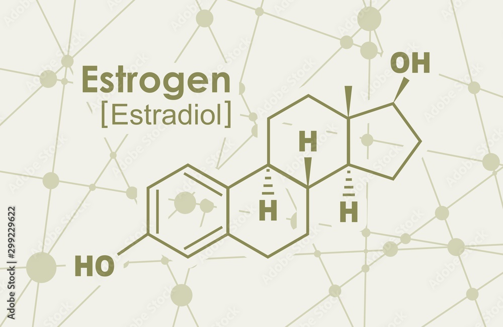 Chemical molecular formula hormone estrogen. Infographics illustration ...