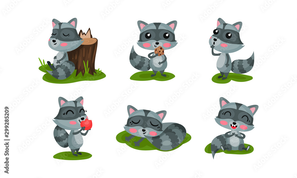 Cartoon Raccoon Character Vector Set. Funny Creature Eating Cookies ...
