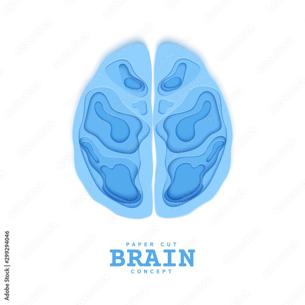 Section of the human brain in papercut style. Blue cardboard cutting ...