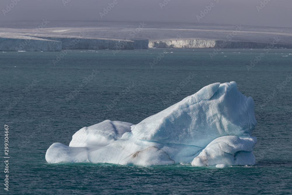 Iceberg floating in Philpots Island, Queen Harbour, Devon Island ...