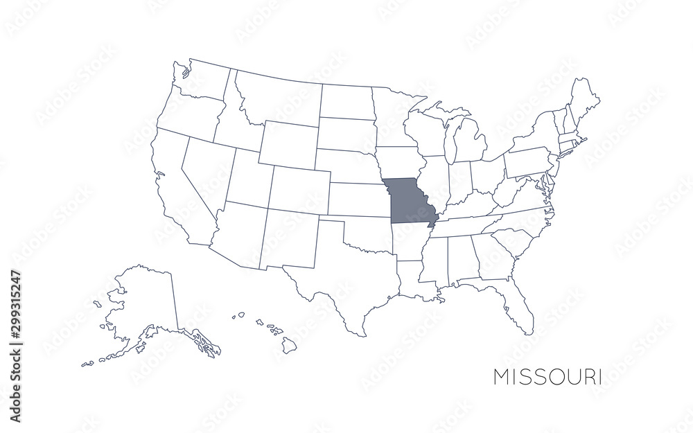 High detailed vector map - United States of America. Map with state ...
