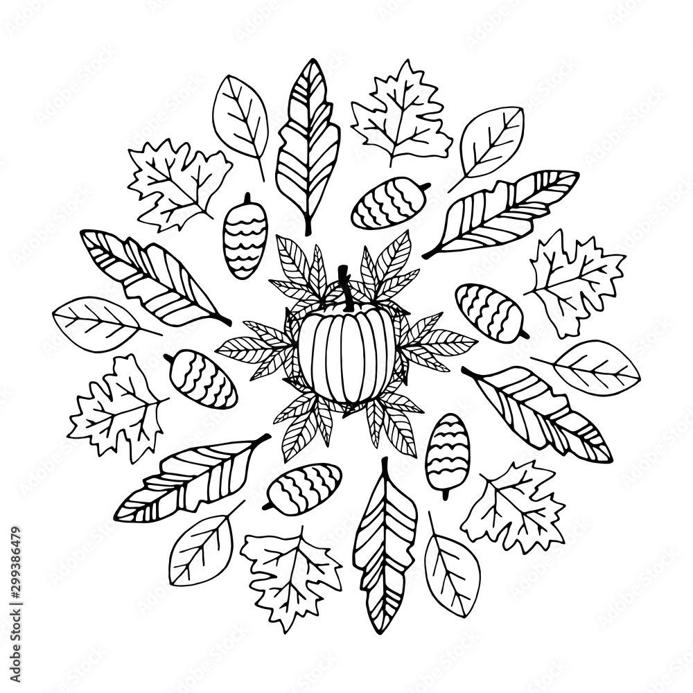 Cute doodle autumn mandala with leaves, cones and pumpkins on white ...