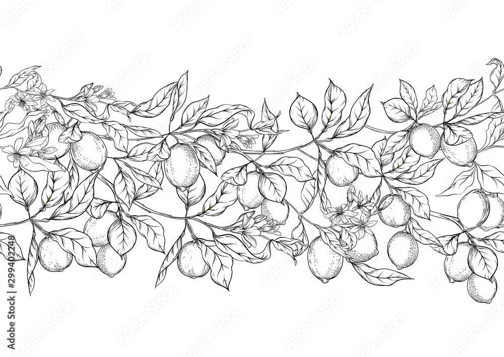 Lemon tree branch with lemons, flowers and leaves. Seamless pattern ...