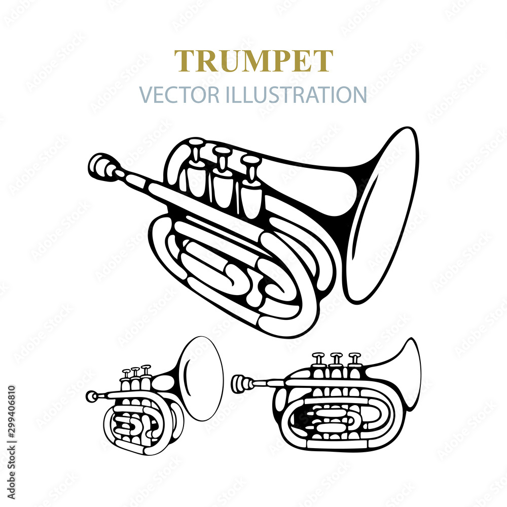 Trumpet. Trumpet hand drawn vector illustrations set. Trumpets top ...