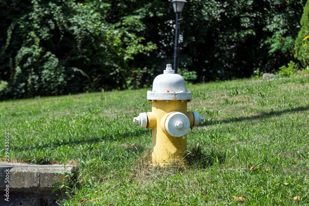 Fire Hydrant in a residential area painted in yellow and white colors ...