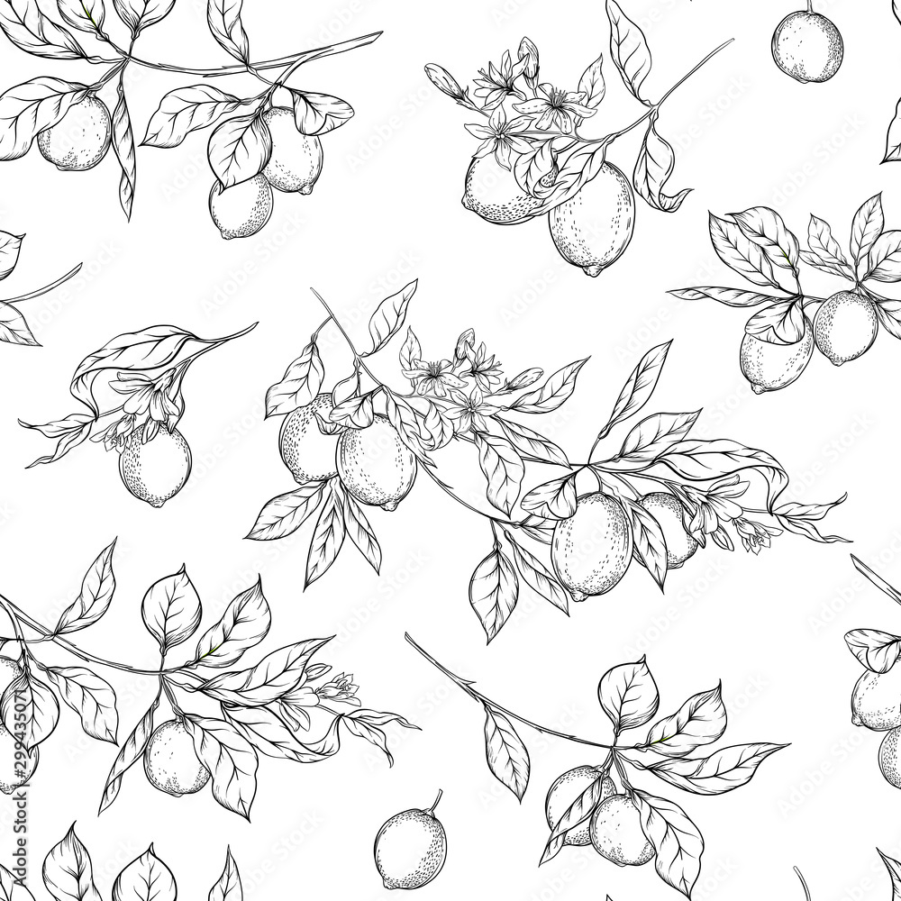 Lemon tree branch with lemons, flowers and leaves. Seamless pattern, background. Outline hand ...