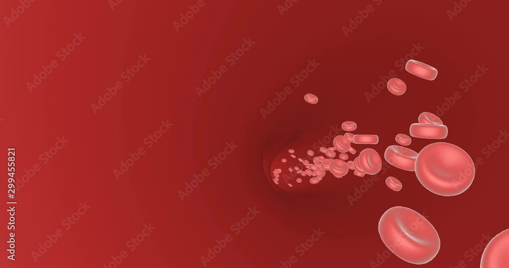 Red cell antibodies floating through vein seamless animation. Oval ...