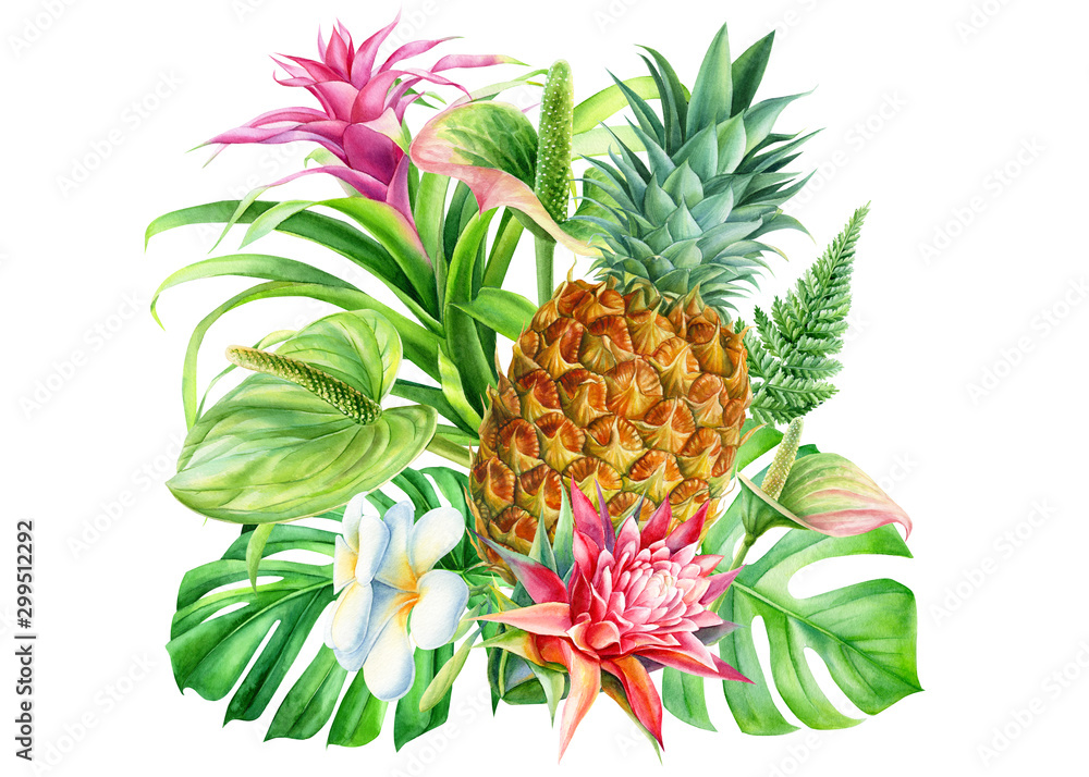 Watercolor hand drawing, botanical painting, tropical flowers, fruit ...