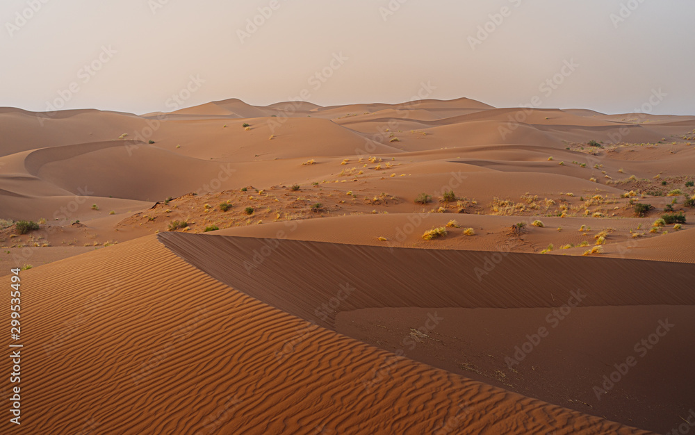 Iranian desert Stock Photo | Adobe Stock