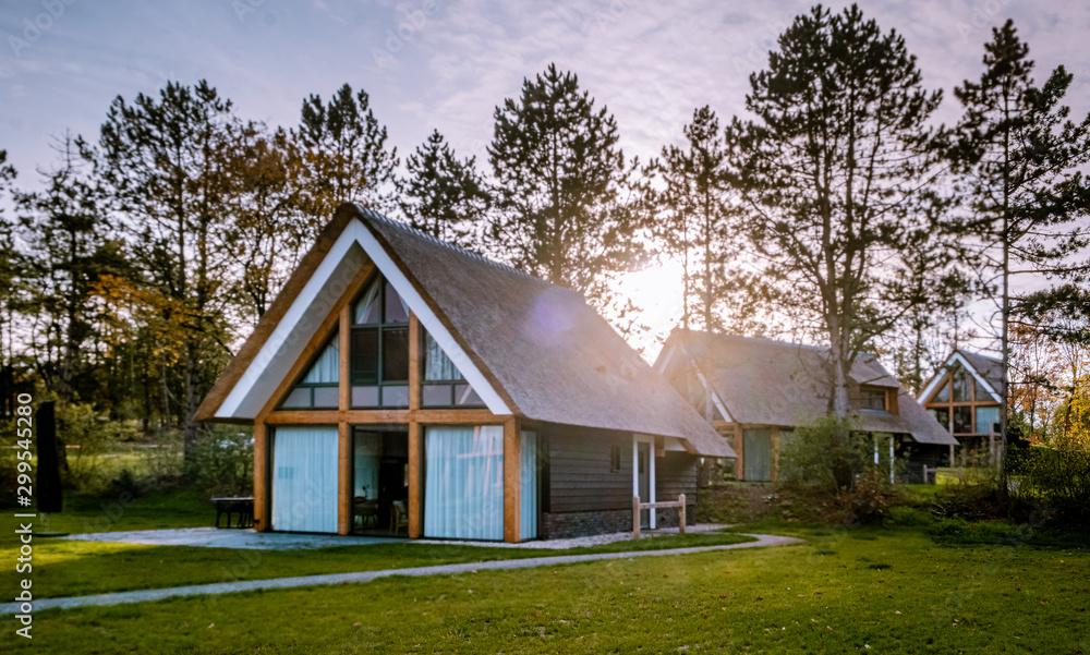 Old historic farmhouse in the Netherlands with reed roof, Traditional ...