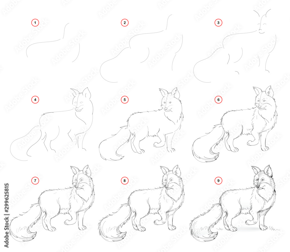 How To Draw A Cute Fox Step By Step
