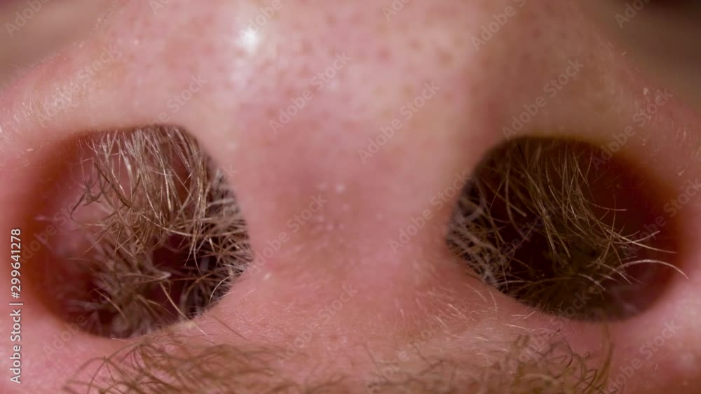 Hairy nostrils and nose of caucasian man close up in macro Stock Video ...