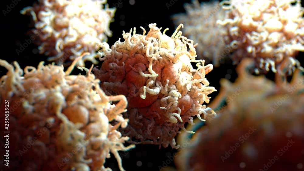 White Blood Cell 004 3D Rendering: Scanning electron microscope image ...