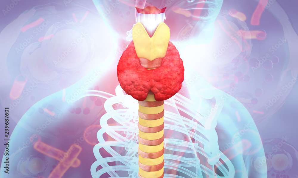 Abstract medical background with Human Body thyroid gland anatomy. 3d ...