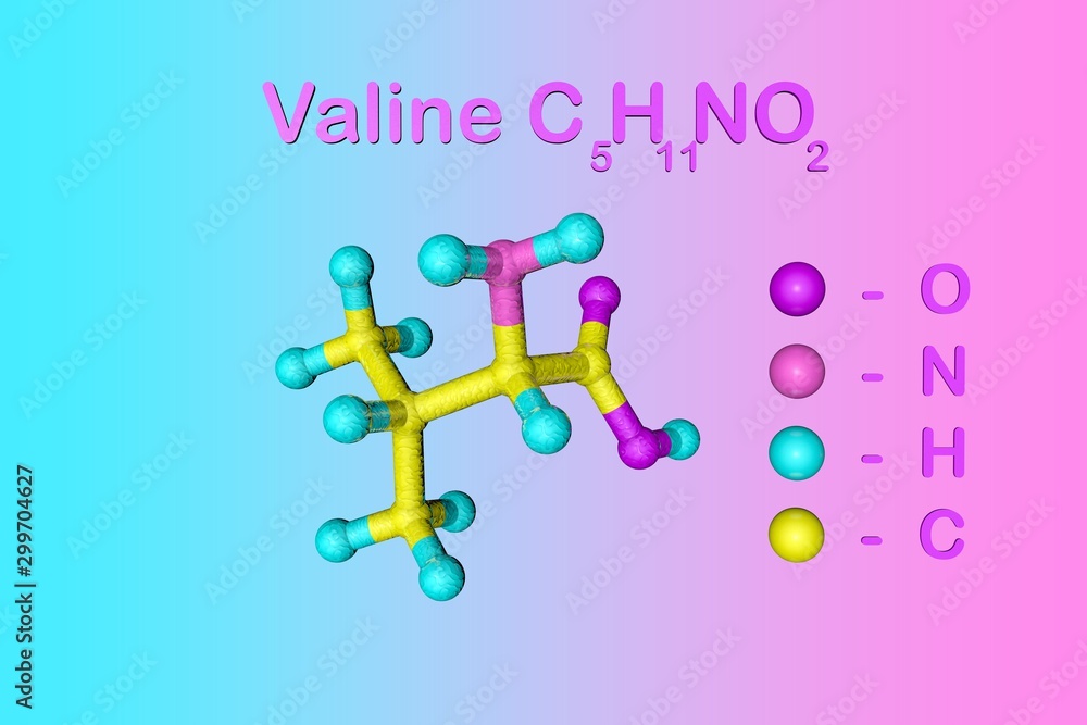 Structural chemical formula and molecular model of valine, an essential ...