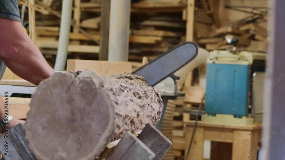 Man is sawing a wood with an electrical chainsaw at carpentry. A ...
