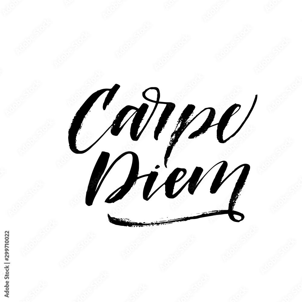 Carpe diem - latin phrase means Capture the moment. Inspirational quote ...