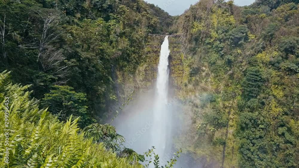 Video „Incredible waterfall in a dense tropical forest of Hawaii. Water ...