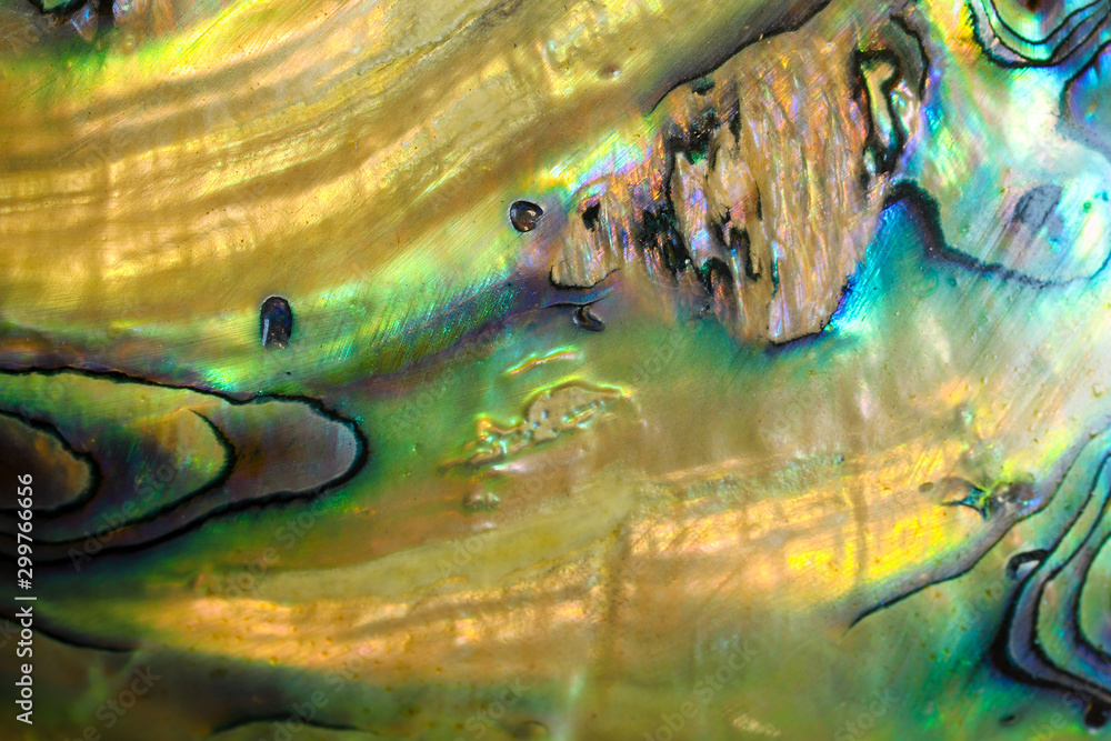 Abstract background of extreme close up of the rainbow of colors in an ...