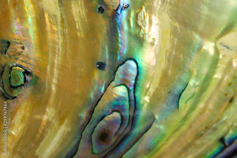 Abstract background of extreme close up of the rainbow of colors in an ...