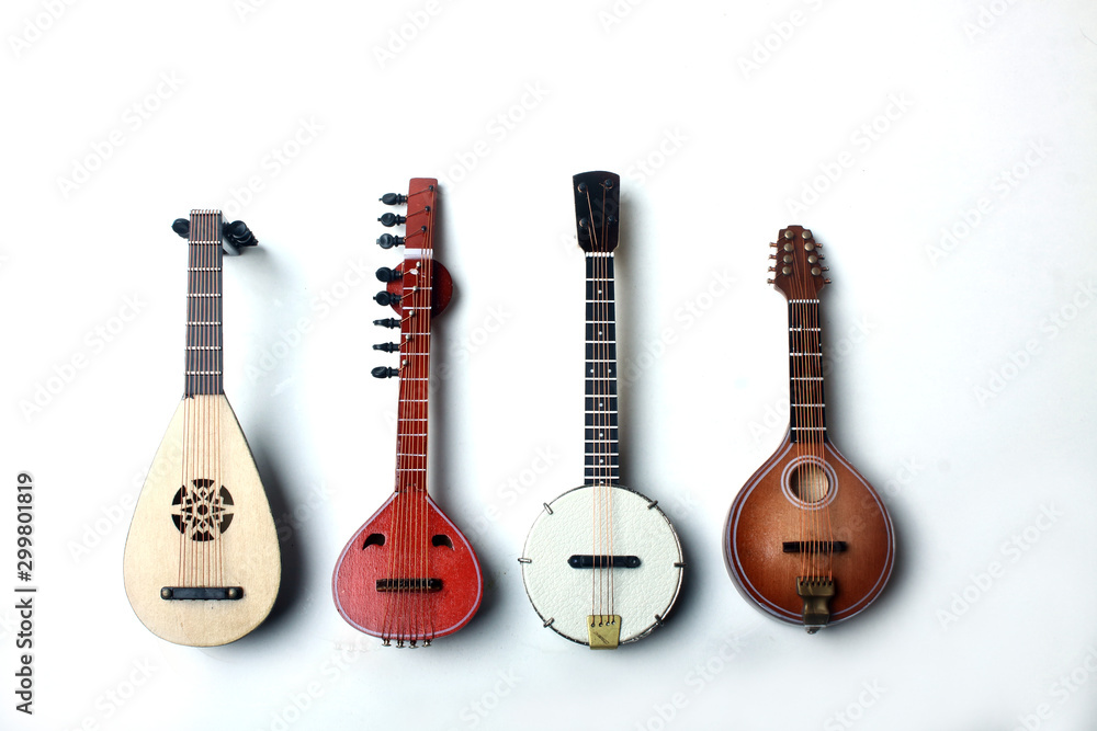 lute, mandoline, banjo and sitar isolated on white background flat lay ...